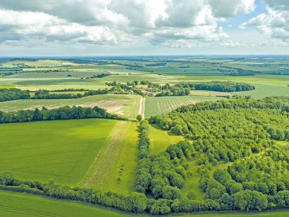 Rewilding trend boosts the UK farmland market
