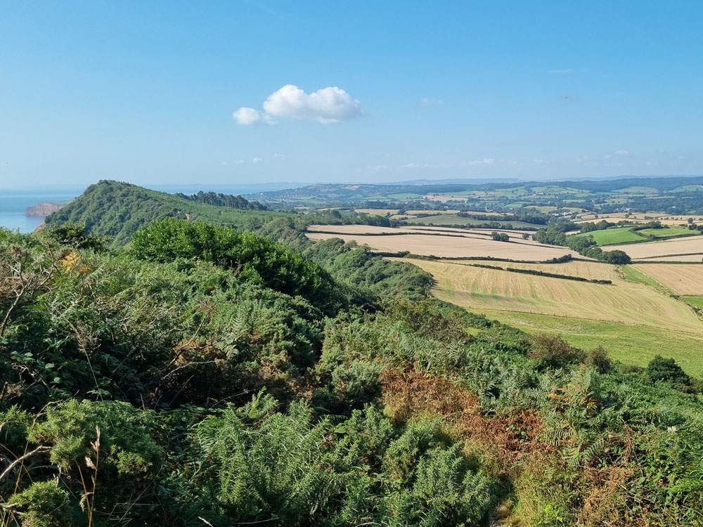 ELMS – more options, improved payments and speed-up of roll out