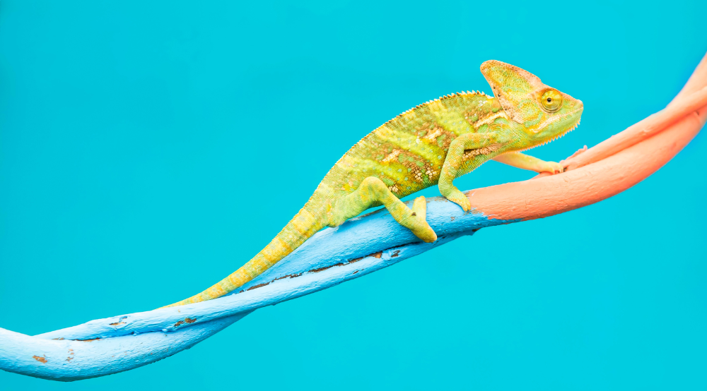 3 Reasons Why Businesses Fail to Adapt (And How to Get it Right ...